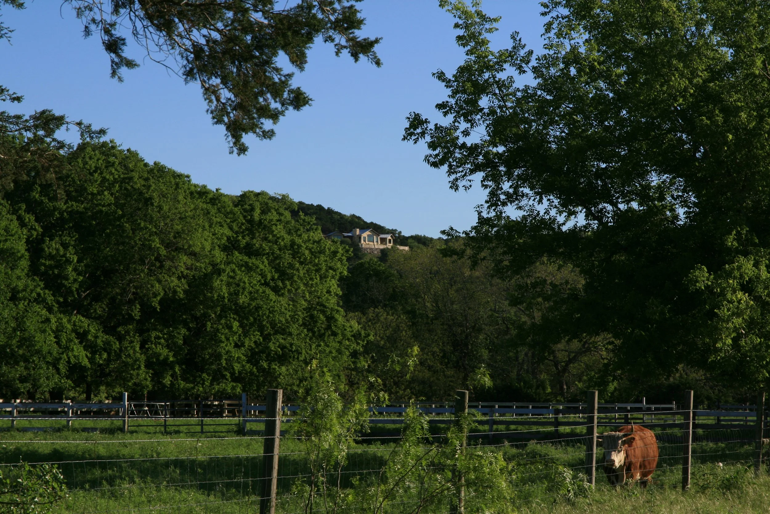 Burleson Design Group • Texas Hill Country Architects