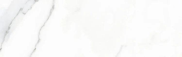 APINI — alpha tile & stone