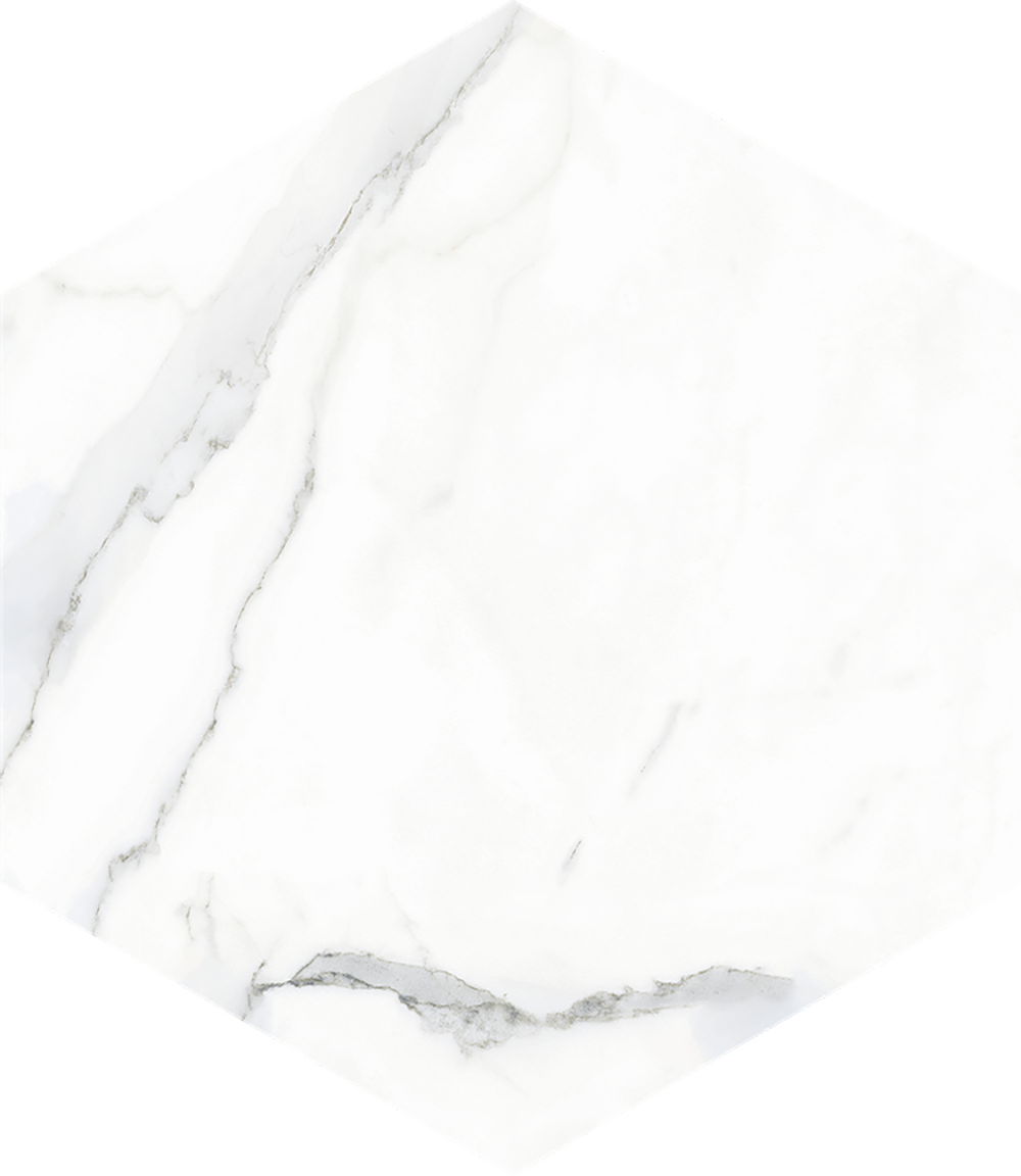 APINI — alpha tile & stone