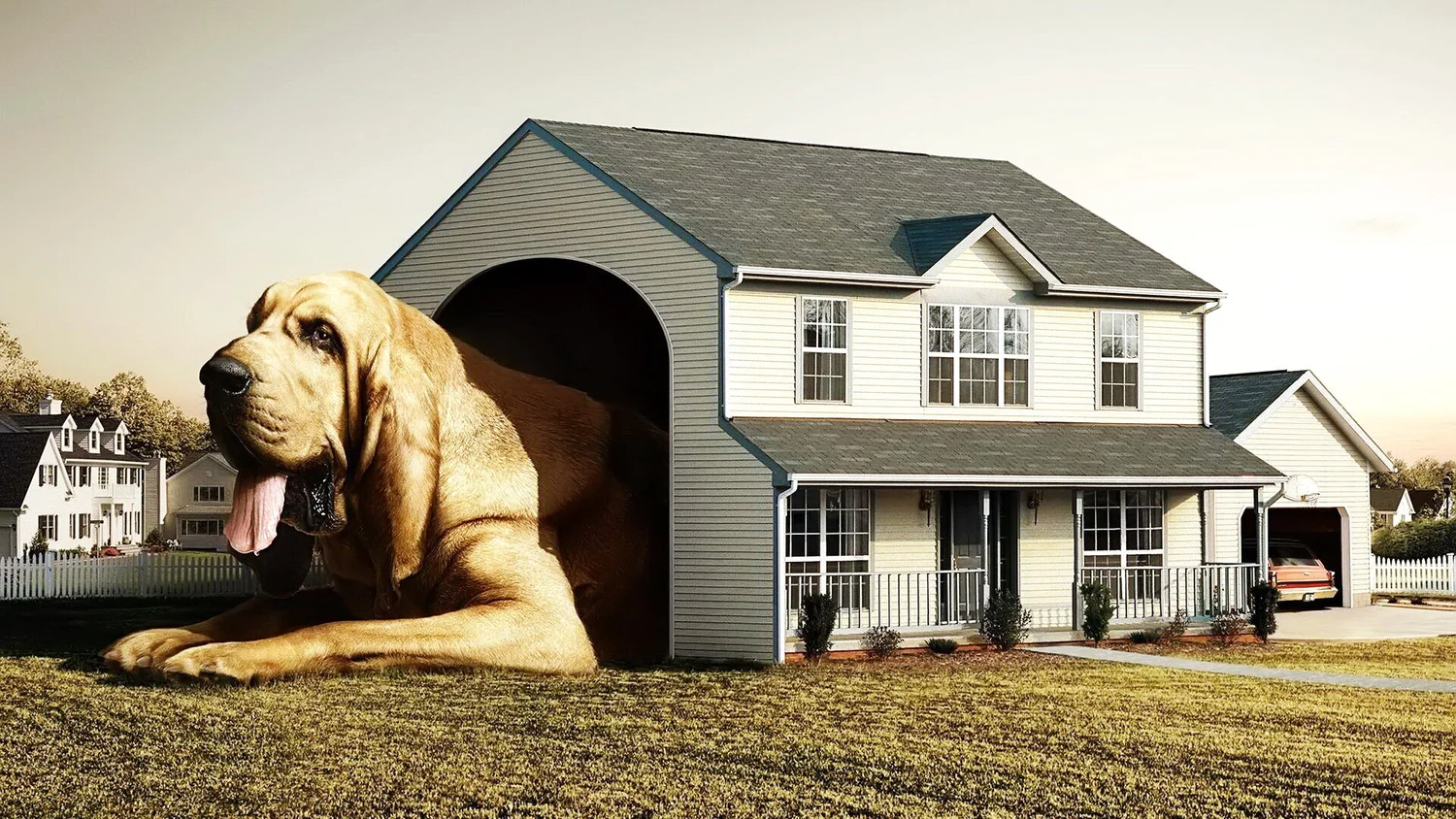 Day 113: Cool Dog Houses — MJG Interiors