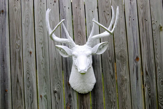 Day 92: Animal Head Mounts! — MJG Interiors