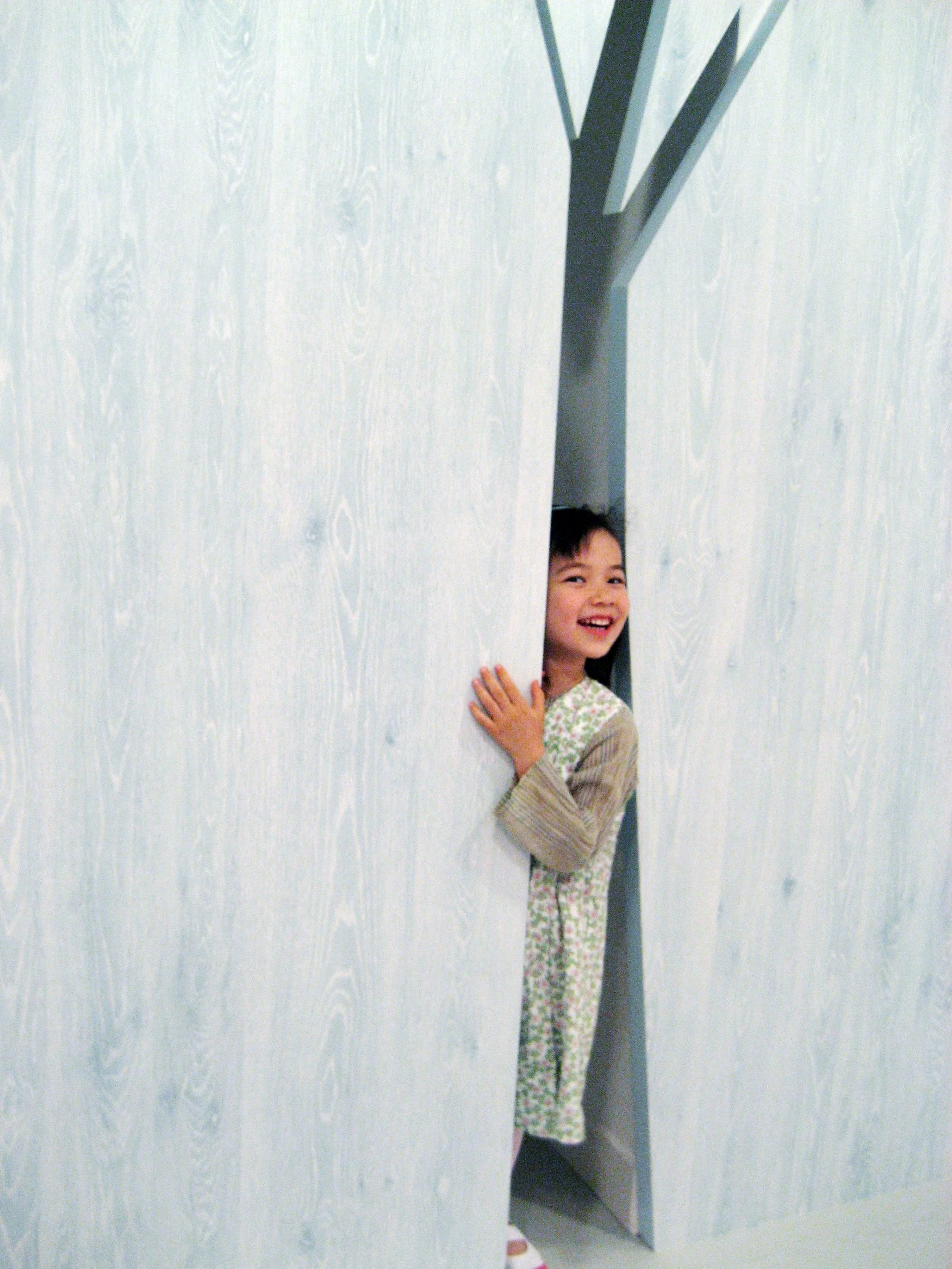 More North Gallery — Koko Architecture + Design