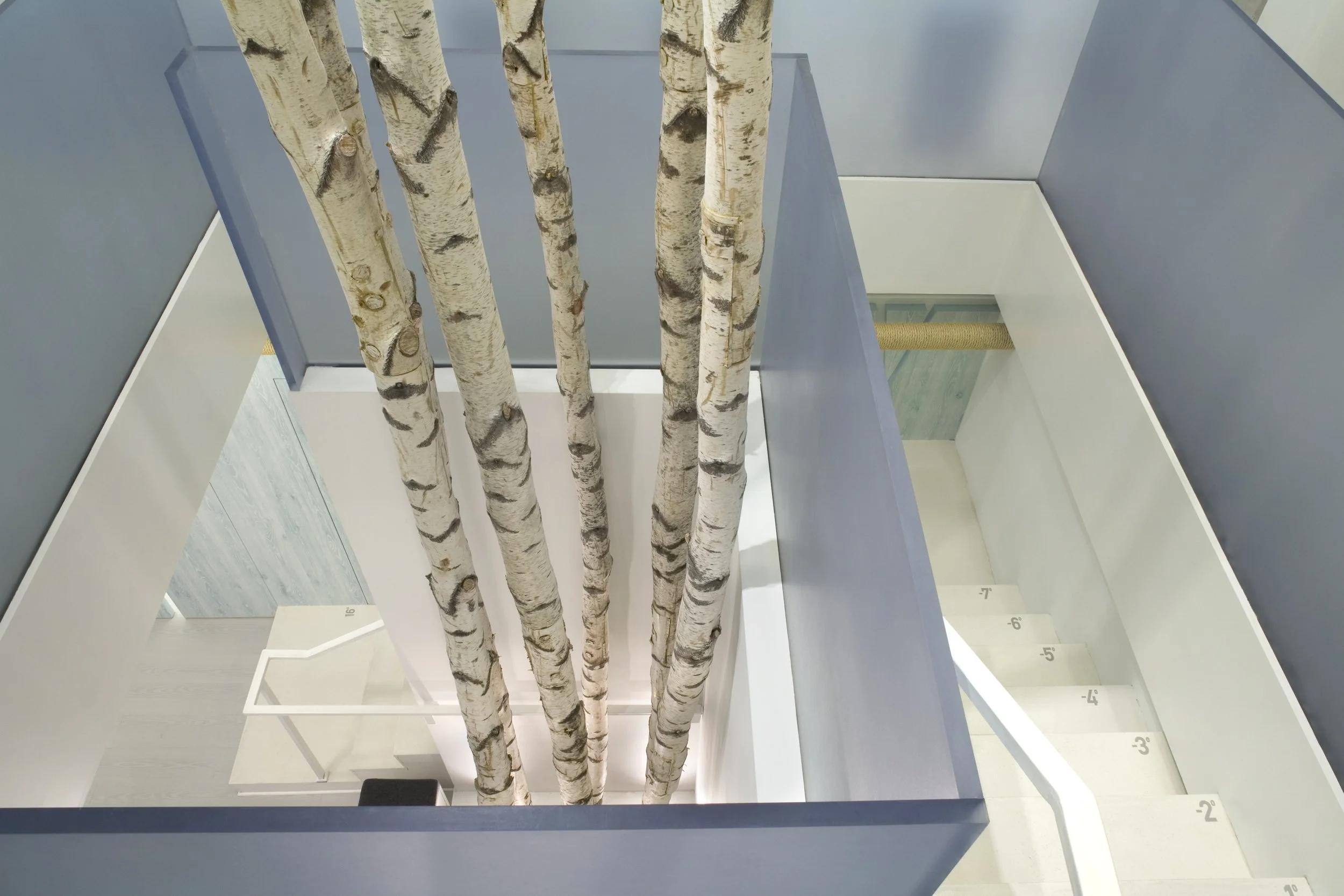 More North Gallery — Koko Architecture + Design