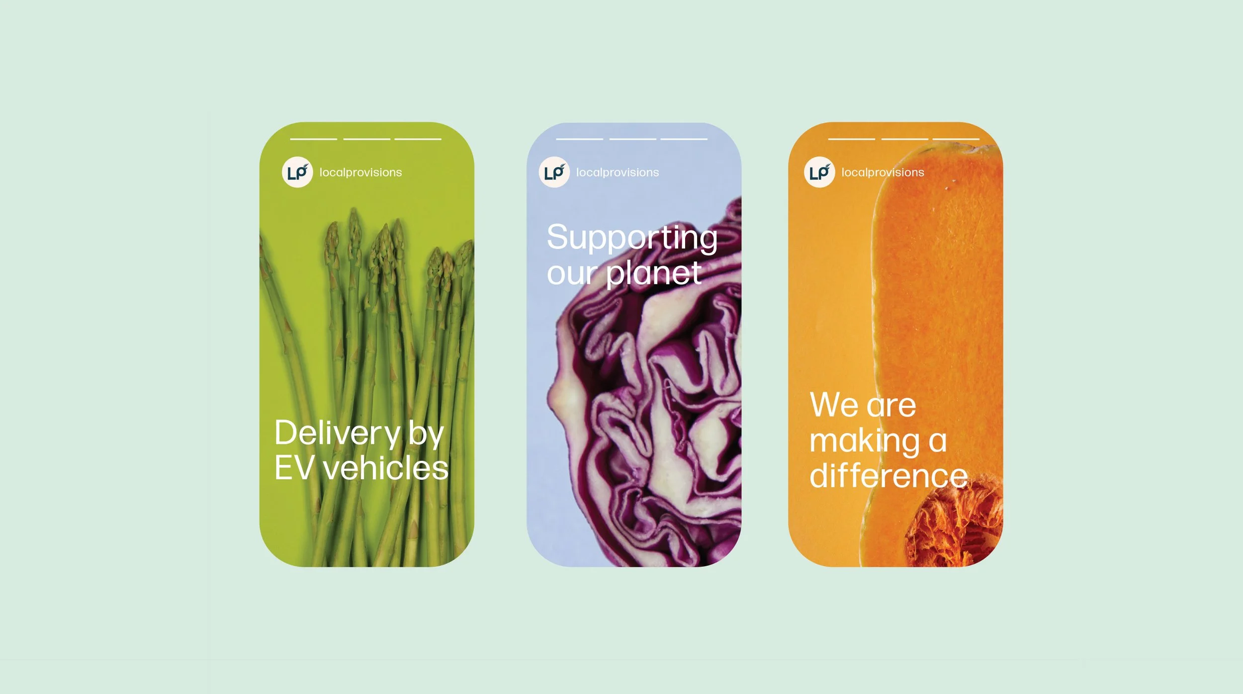 Design Packages—Monthly Retainers, Social Media, Digital Design — Kona Made