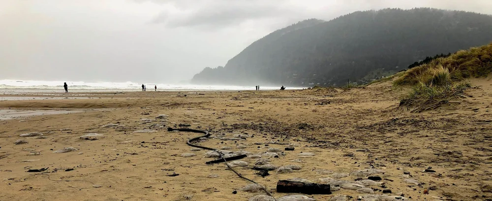 About Us — Sea & Shore Solutions