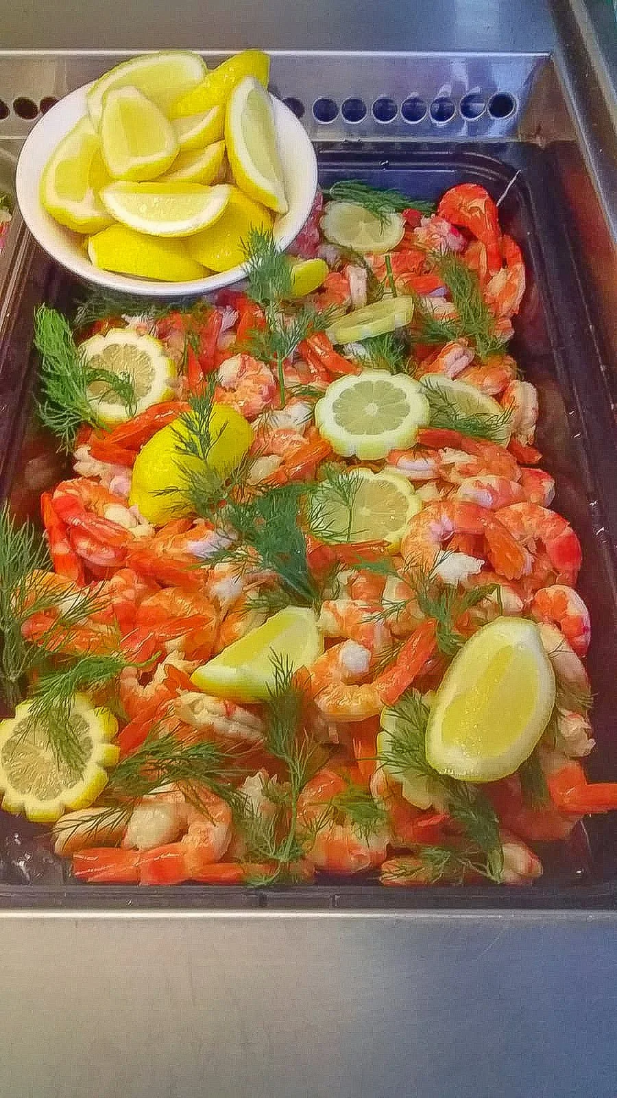 Camp Management & Catering — TCLH