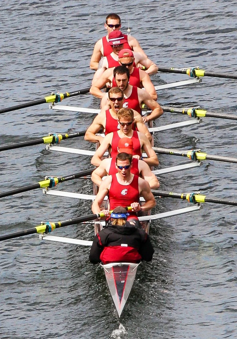 BECOME A ROWER — Washington State Cougar Crew