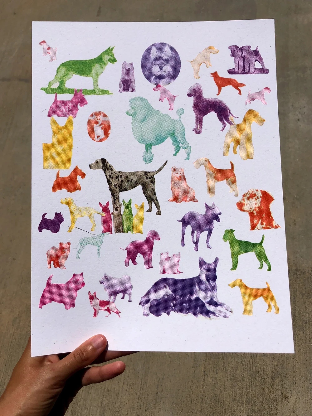 Dog Tessellation