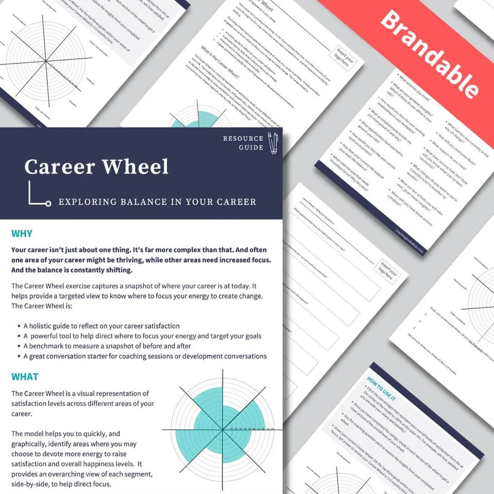 Understanding and Creating Your Own Career Wheel — The Coaching Tools Shop