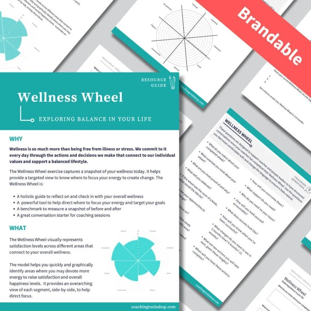 Wellness Wheel Coaching and Assessment PDF — The Coaching Tools Shop