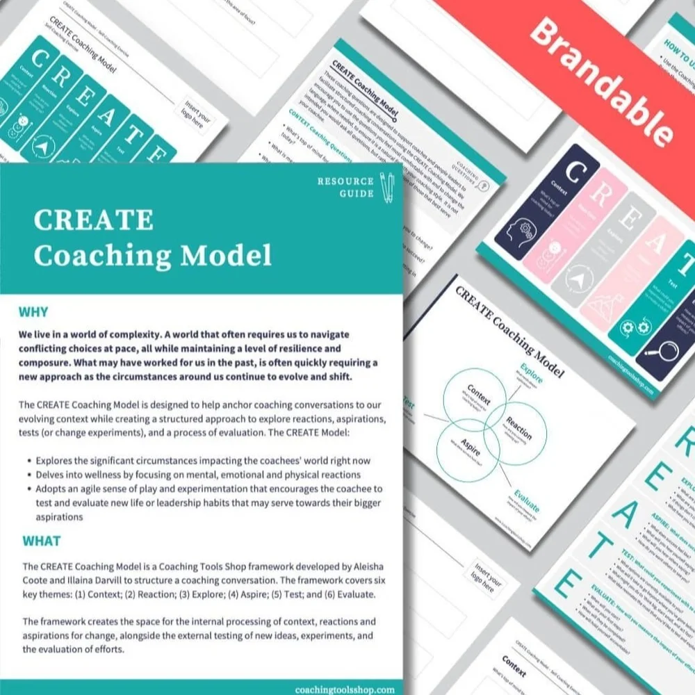 Wellness Wheel Coaching and Assessment PDF — The Coaching Tools Shop