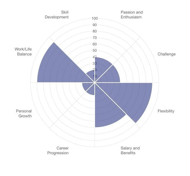 Understanding and Creating Your Own Career Wheel — The Coaching Tools Shop