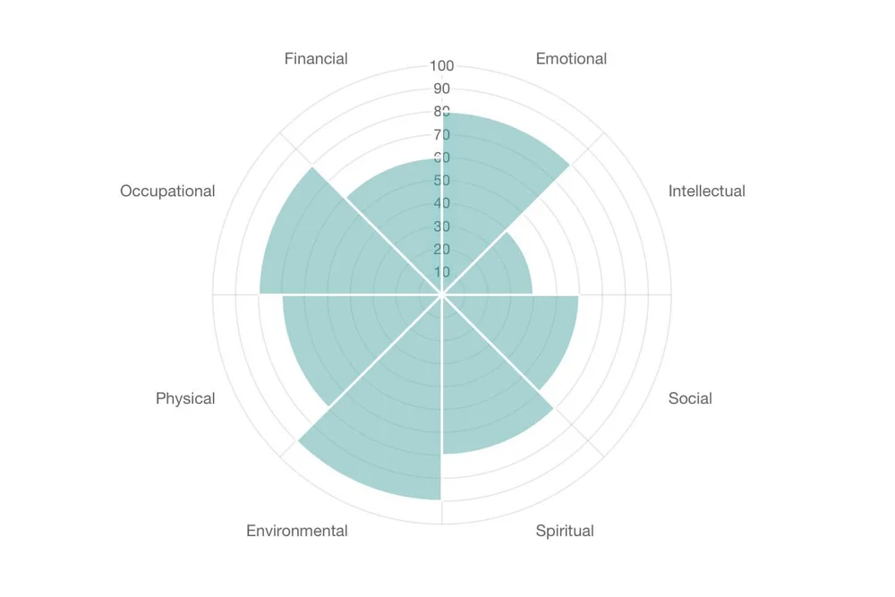Achieving Life Balance with the Wellness Wheel — The Coaching Tools Shop