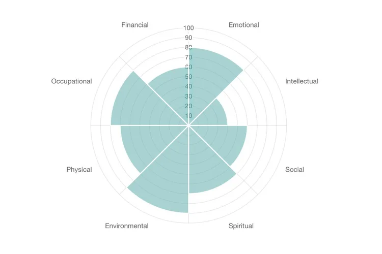 Achieving Life Balance with the Wellness Wheel — The Coaching Tools Shop