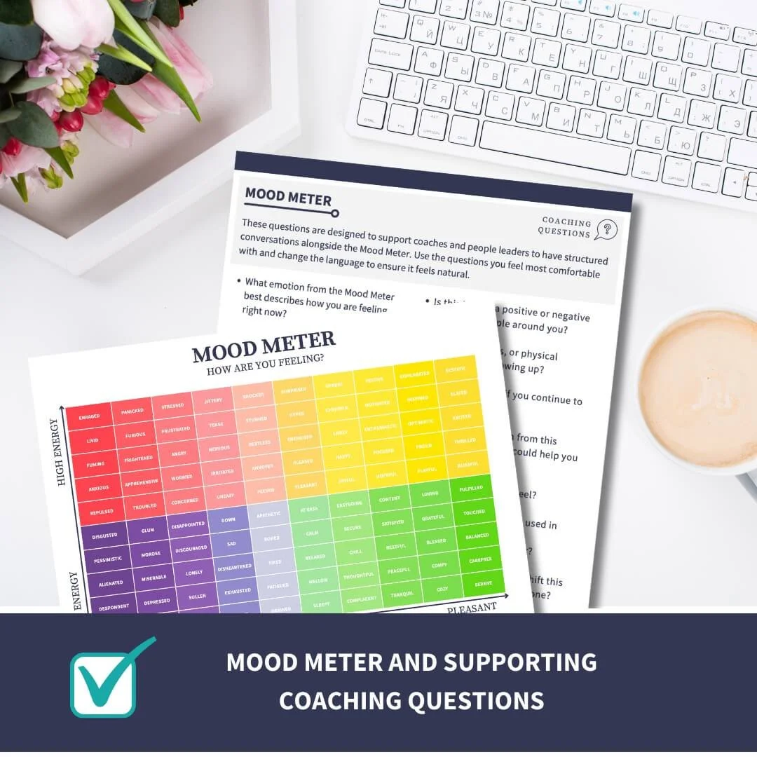 FREE Mood Meter — The Coaching Tools Shop