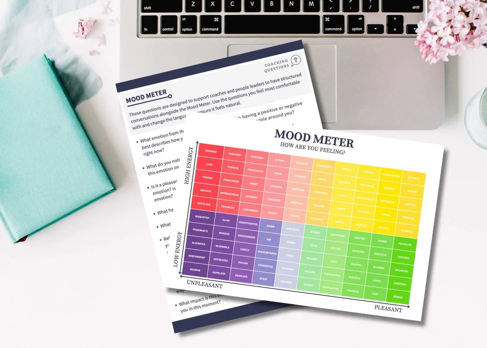 How to Improve Emotional Awareness with the Mood Meter — The Coaching ...