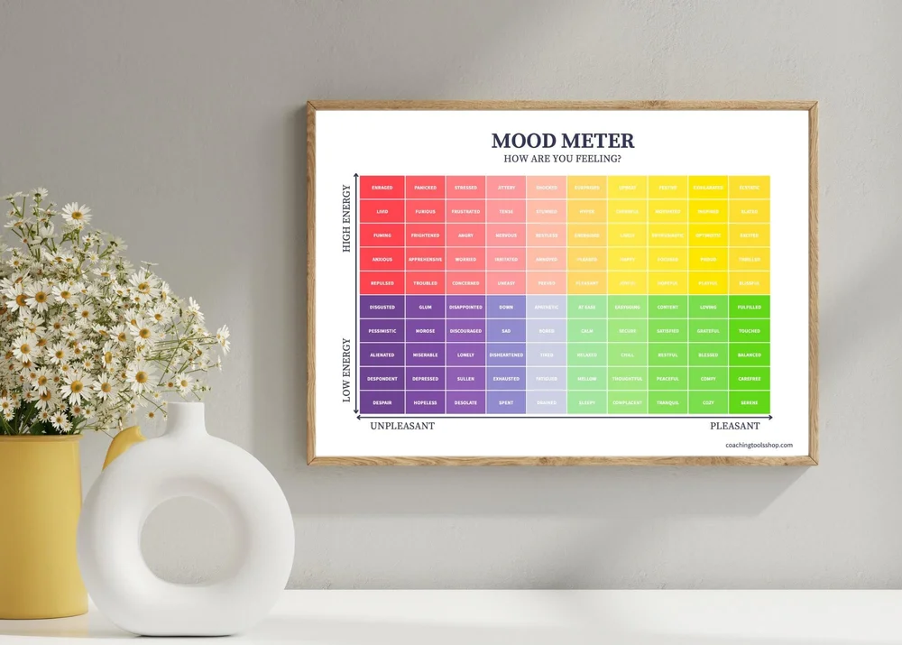 How to Improve Emotional Awareness with the Mood Meter — The Coaching ...