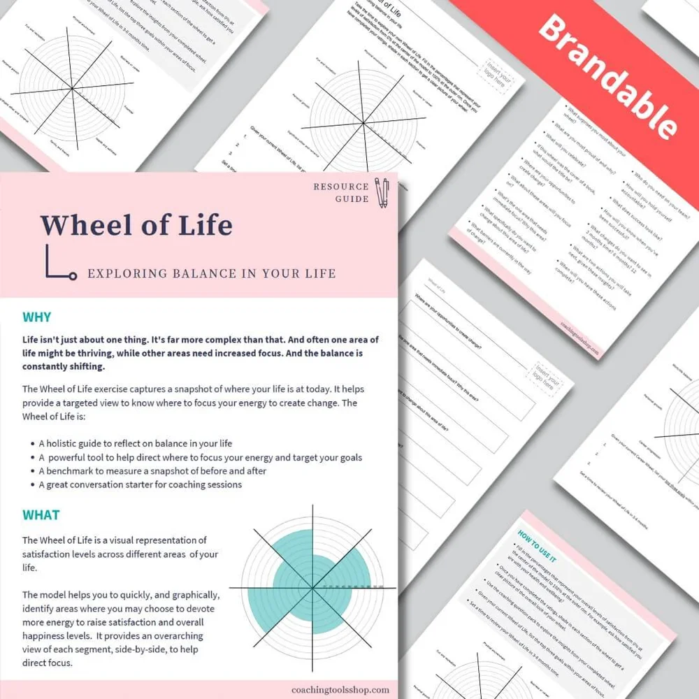 FREE Wheel of Life Template Download — The Coaching Tools Shop