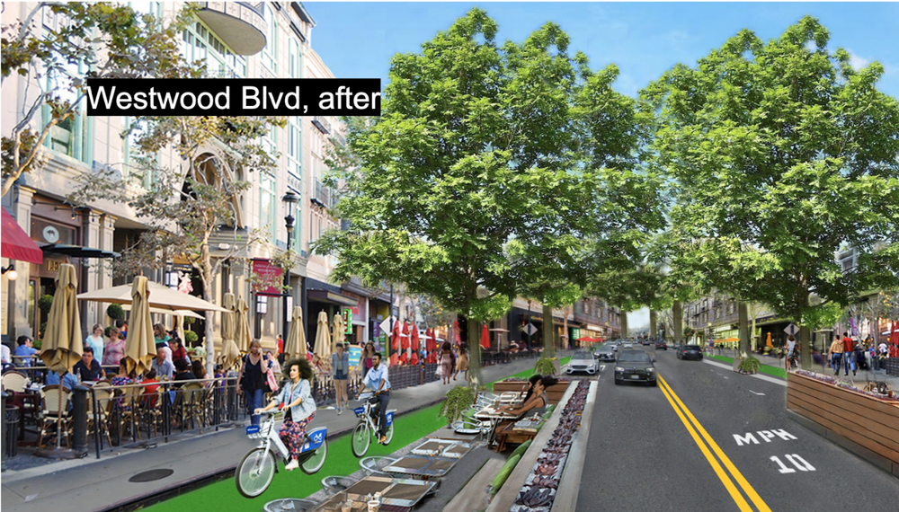 The Detailed Plan — Livable Communities Initiative