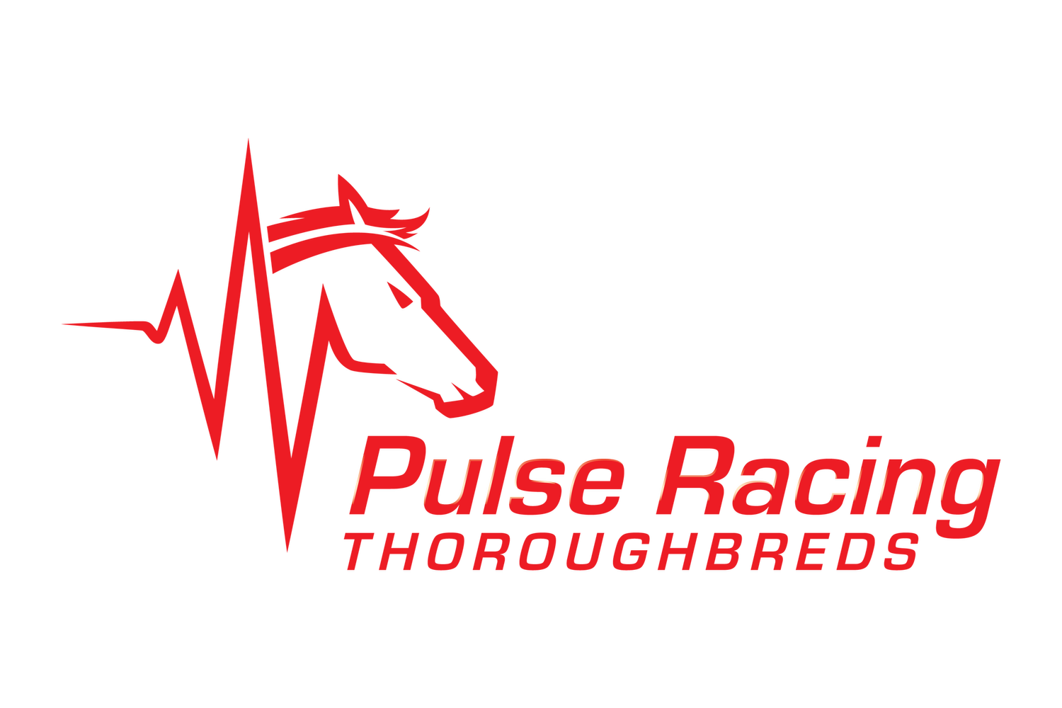 Pulse Racing TBS