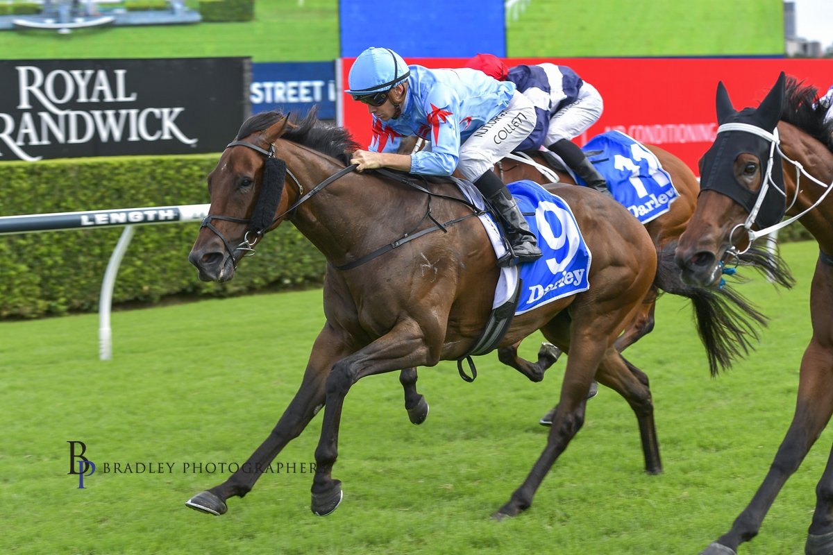 About Us — Pulse Racing TBS