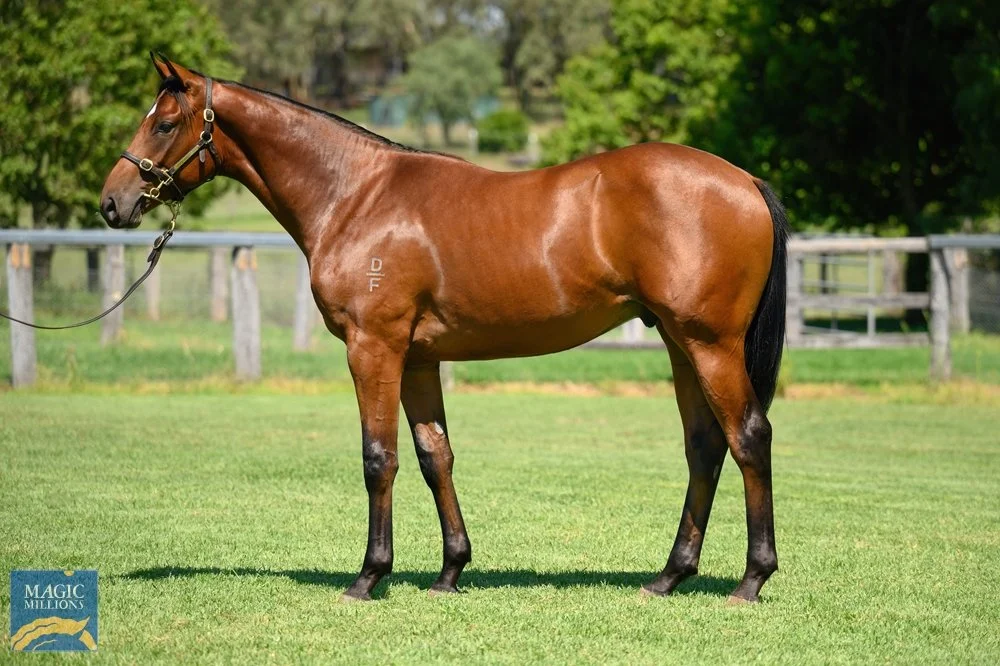 Alpha Blokes — Pulse Racing TBS