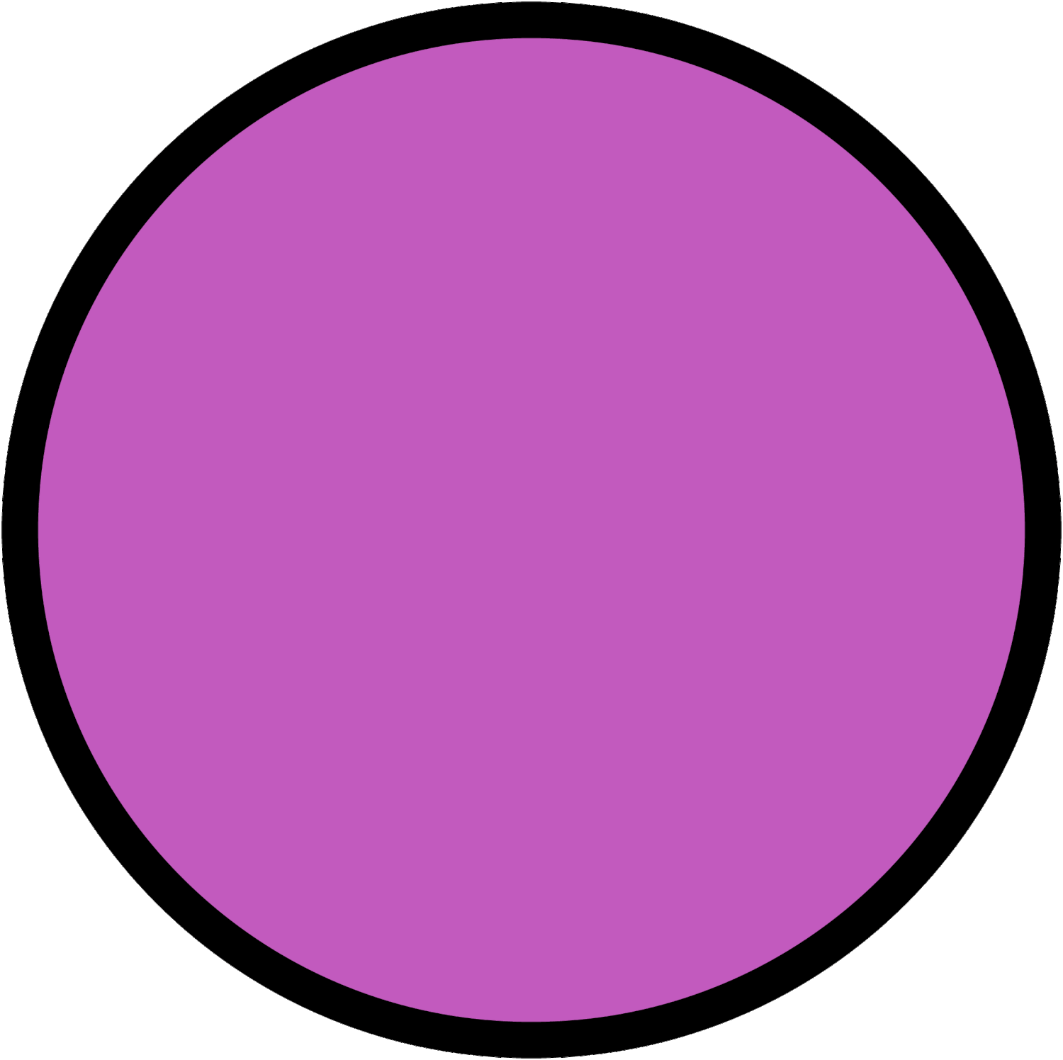 Heartcore Private Pilates Lessons in Scottsdale, AZ