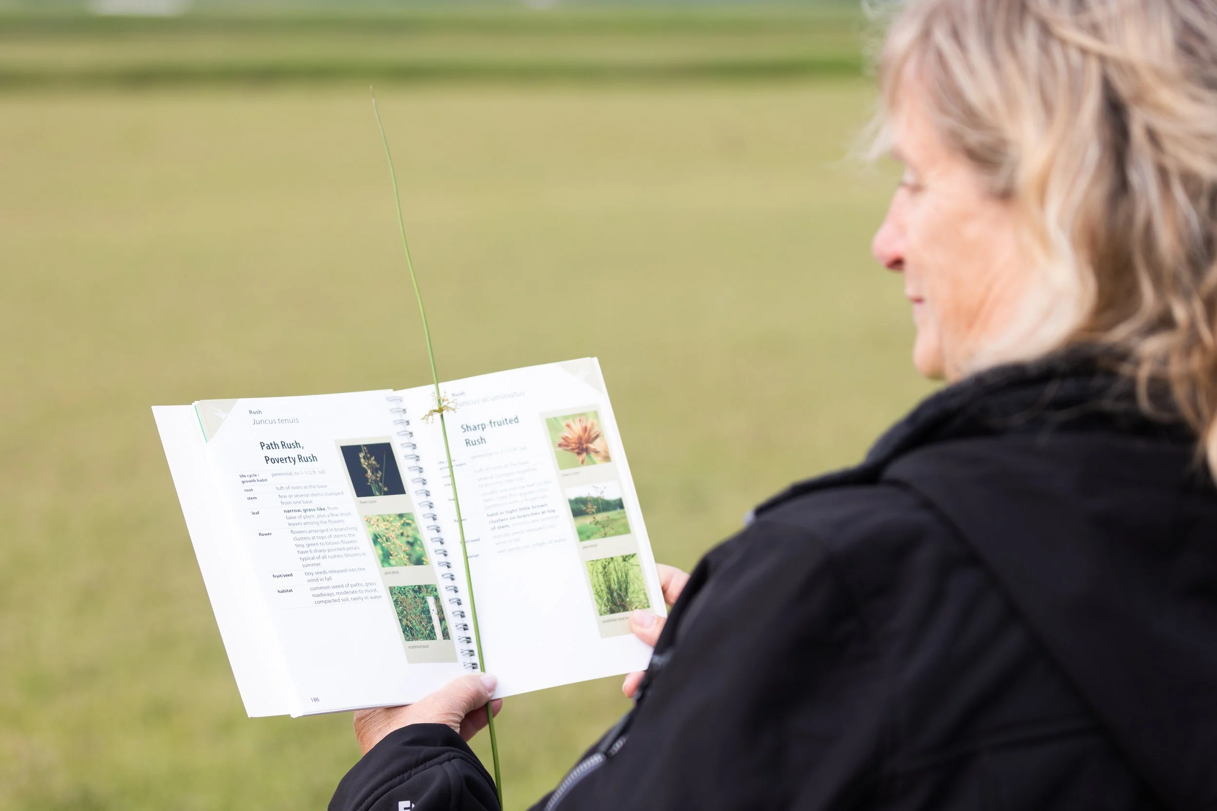 Cran Career Spotlight: Crop Consultant — Cranberry Learning