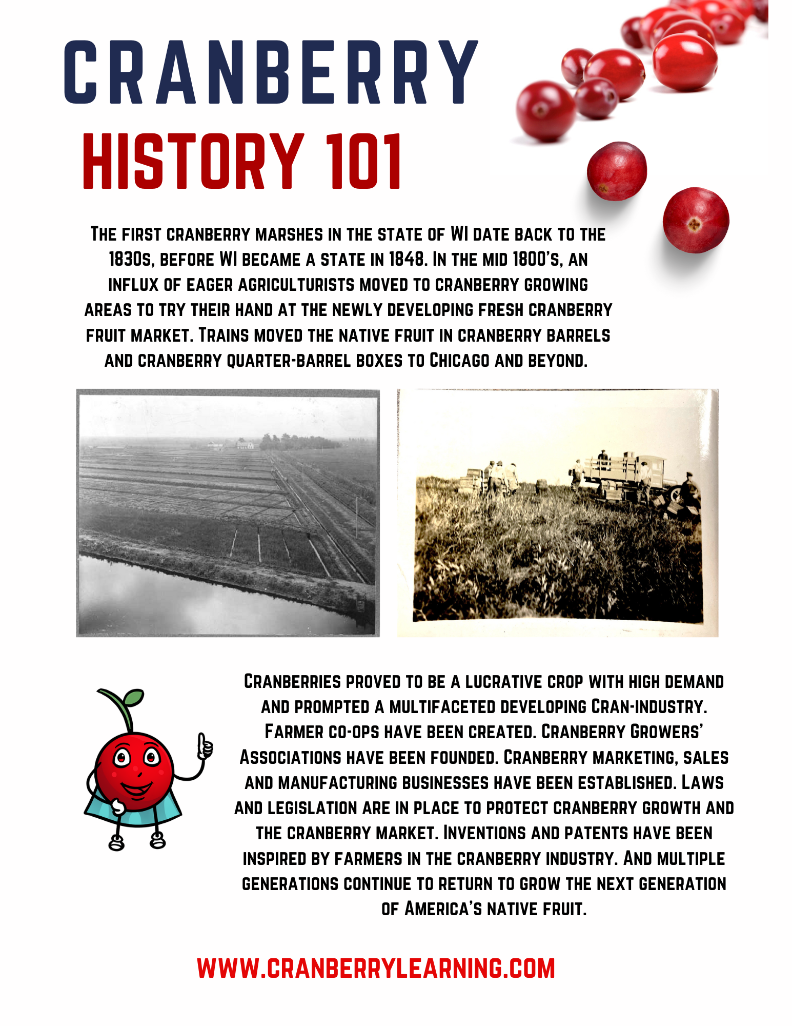 Cranberry History 101 3D Cube Project — Cranberry Learning