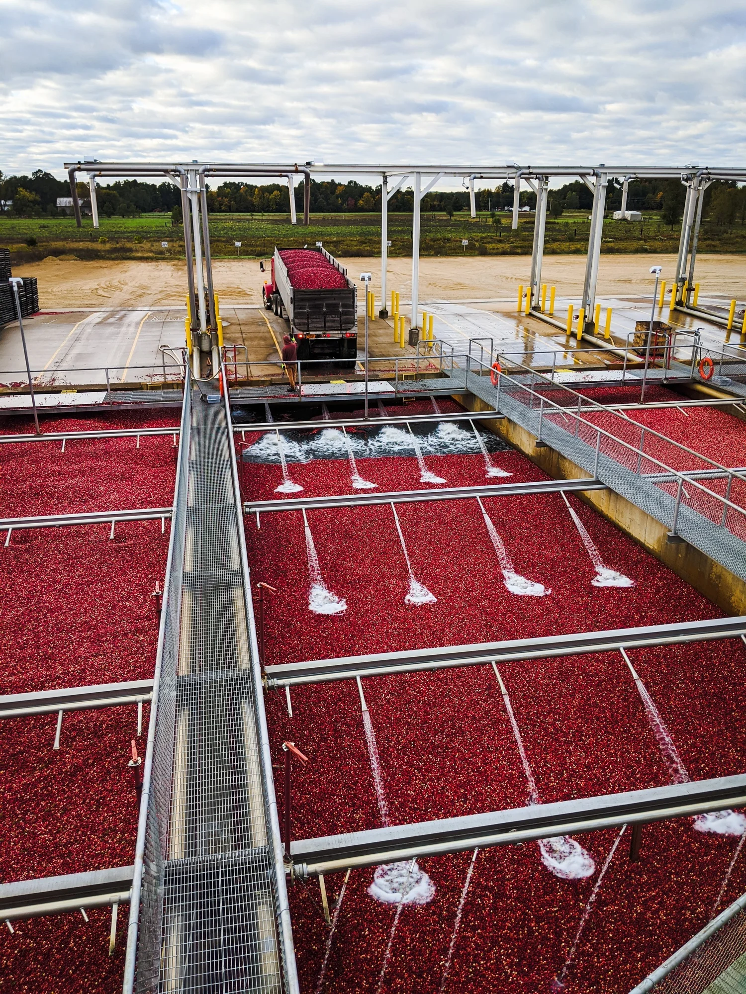 Cranberry Delivery Lesson — Cranberry Learning