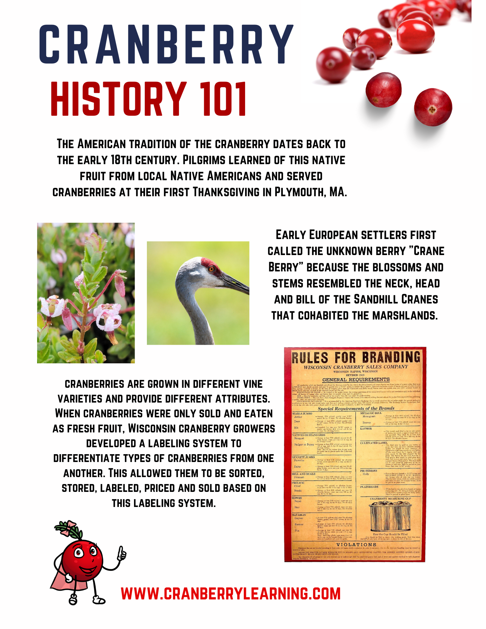 Cranberry History 101 3D Cube Project — Cranberry Learning