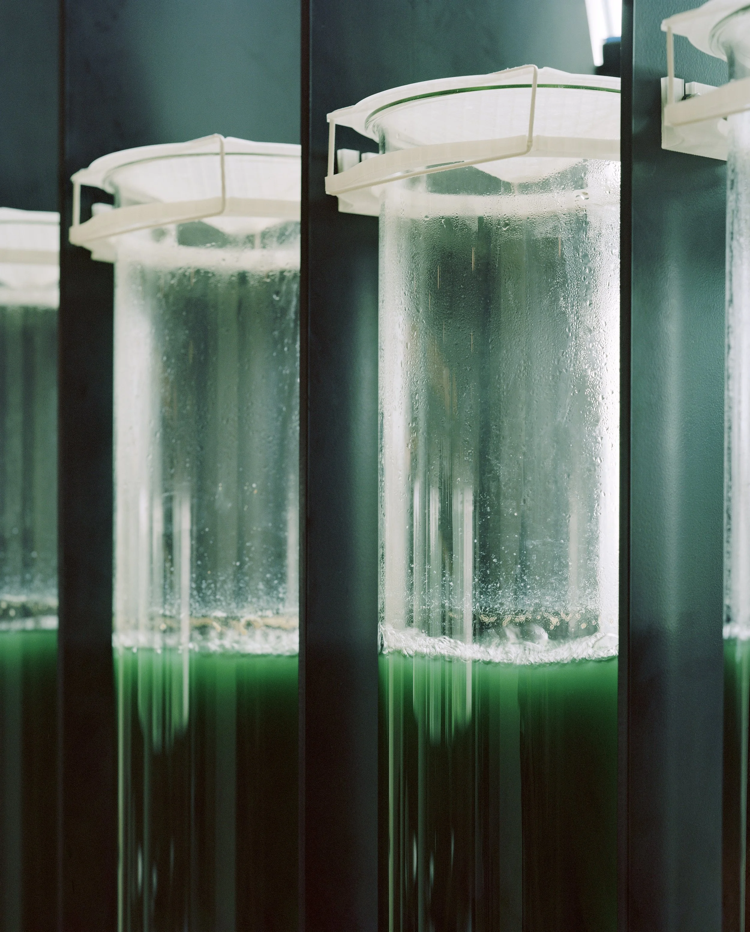 BioFactory / ecoLogicStudio — build