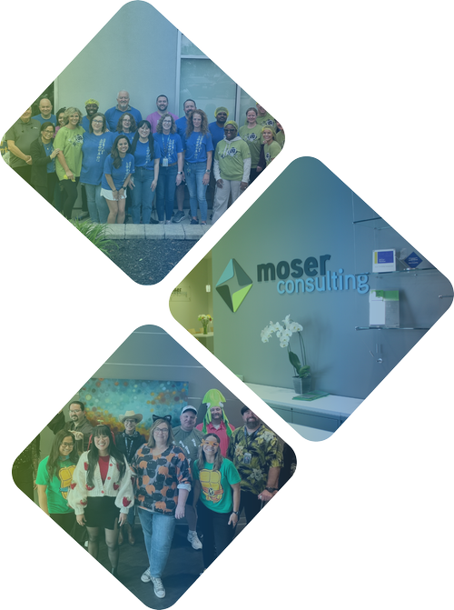 Moser Consulting