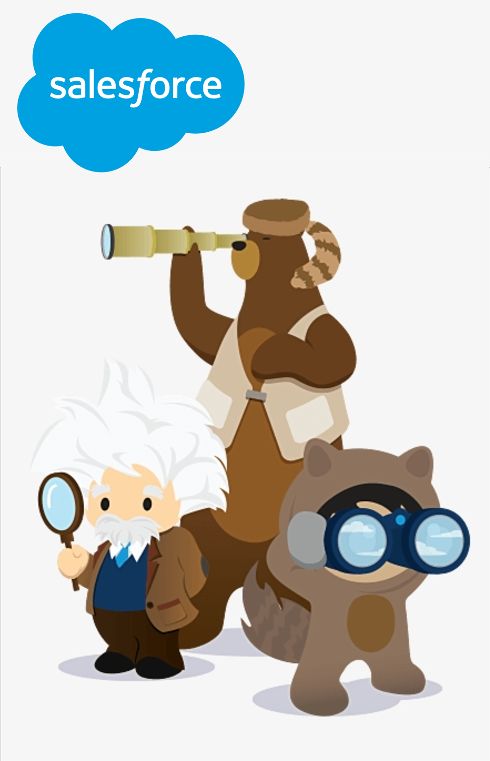 Salesforce clienteling and customer care | SDR Retail Consulting
