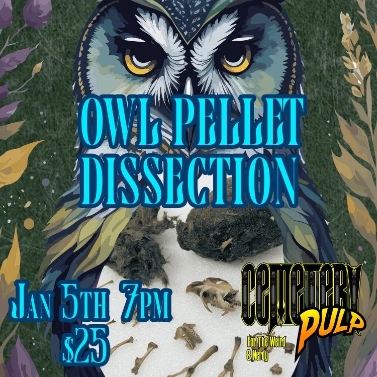 Owl Pellet Dissection Class — Cemetery Pulp