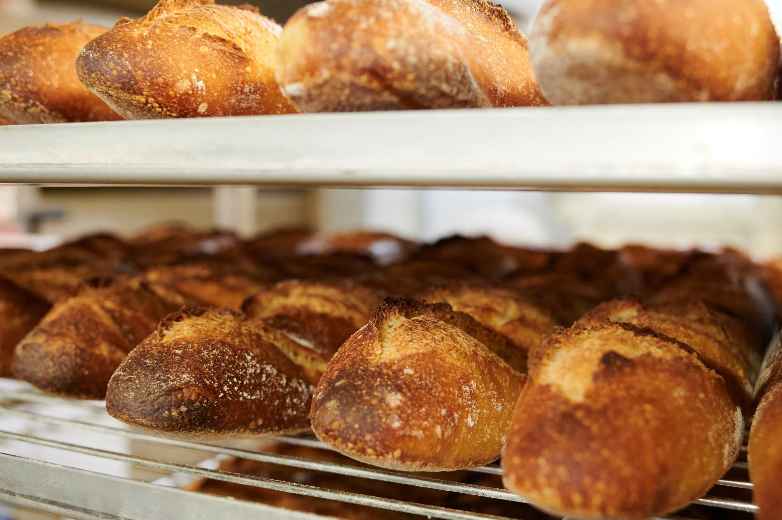 Louis Swiss Bakery | Wholesale
