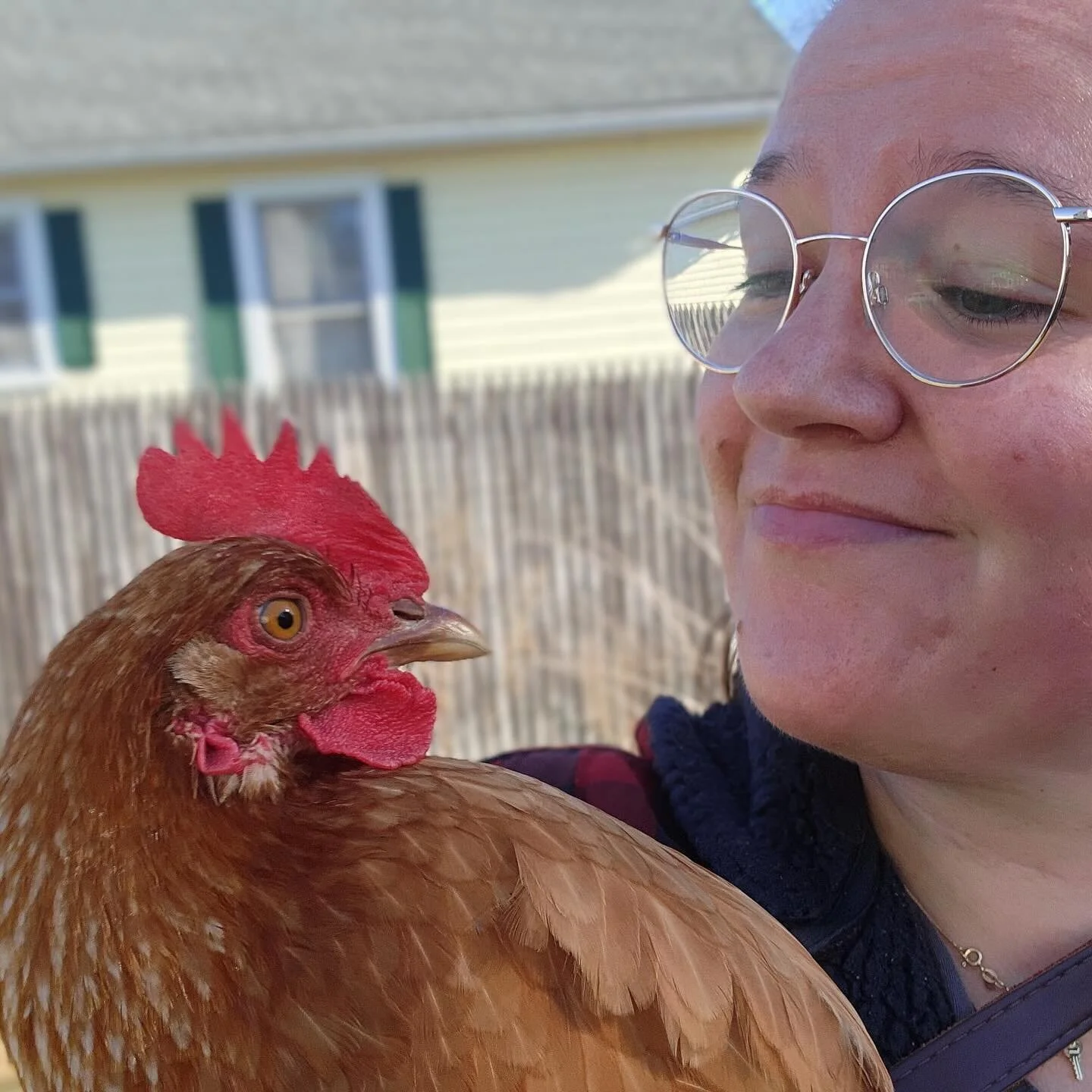 In Depth Studies - Easing Tension from the Neck and Upper Back — Down ...