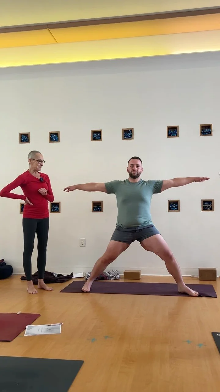 Voices & Blog | Down Under School of Yoga — Down Under School of Yoga