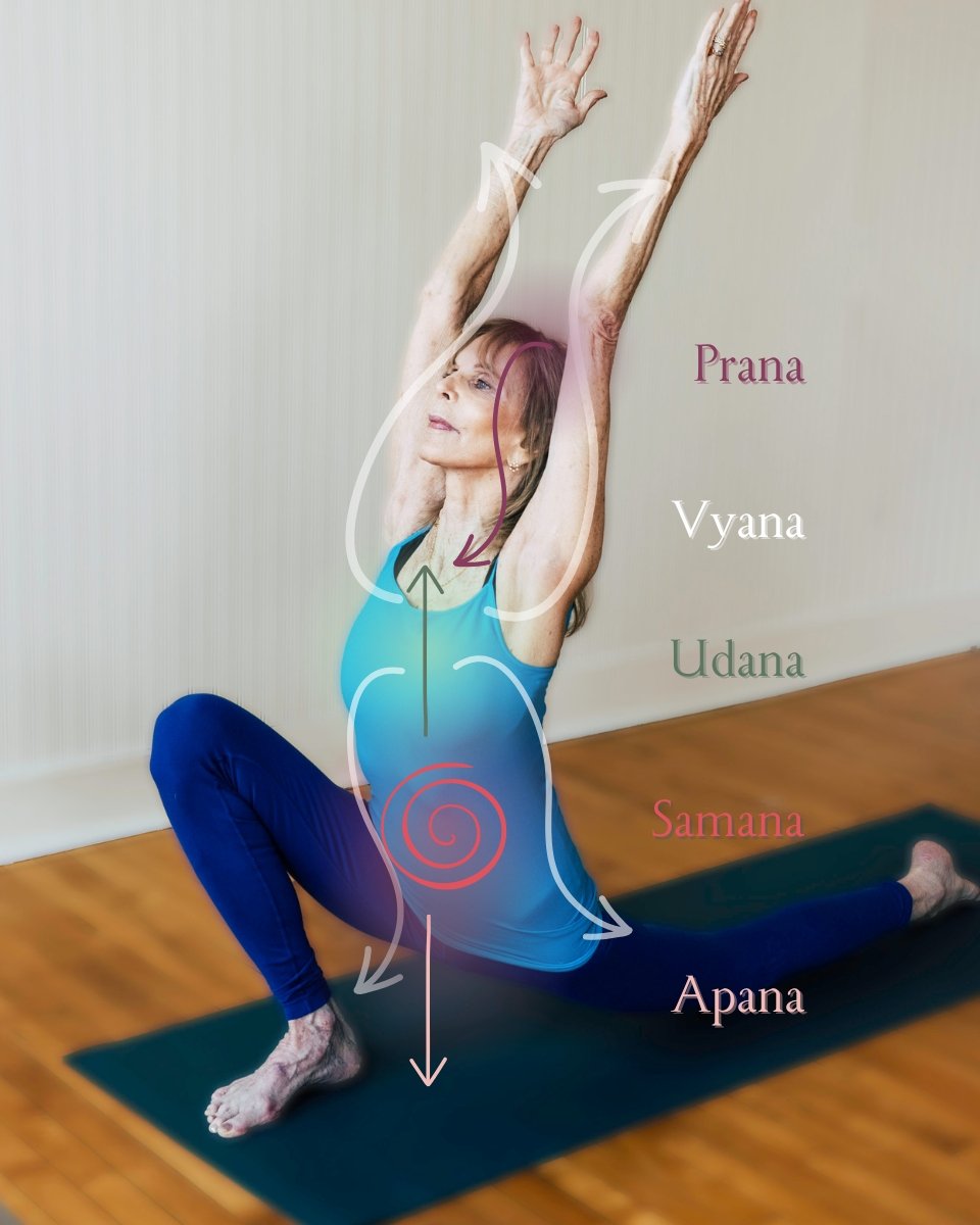 Moving into Silence: A Journey Through the Vayus — Down Under School of ...