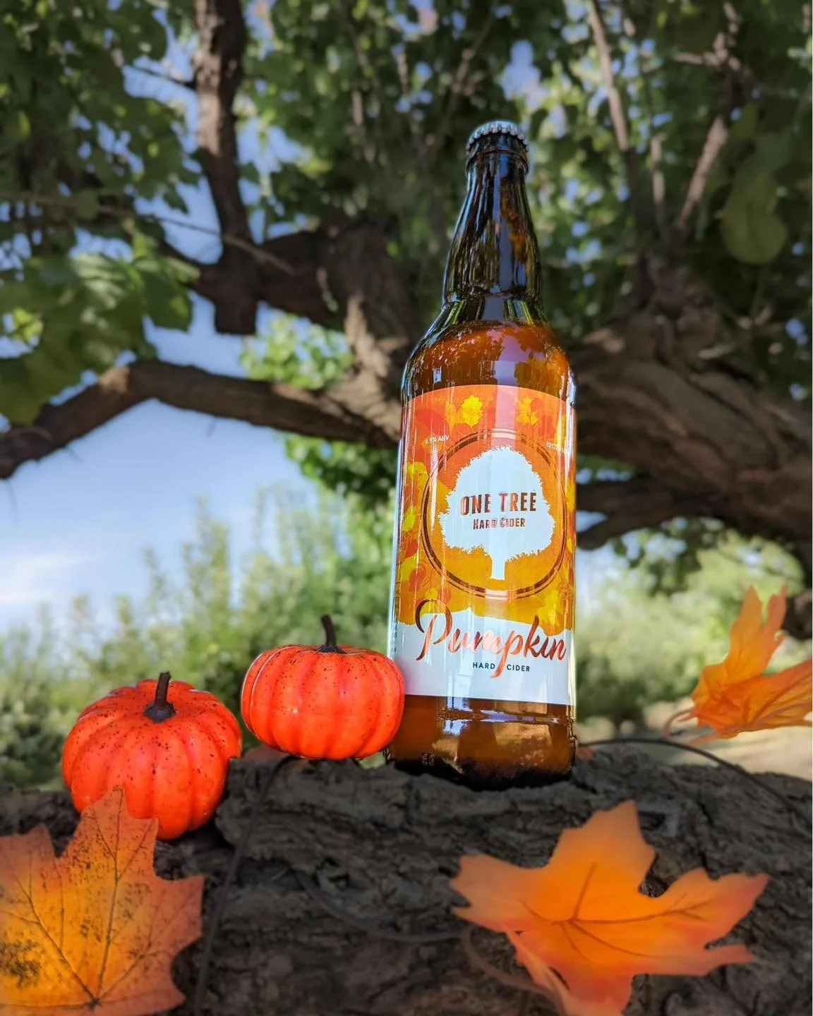 ONE TREE HARD CIDER