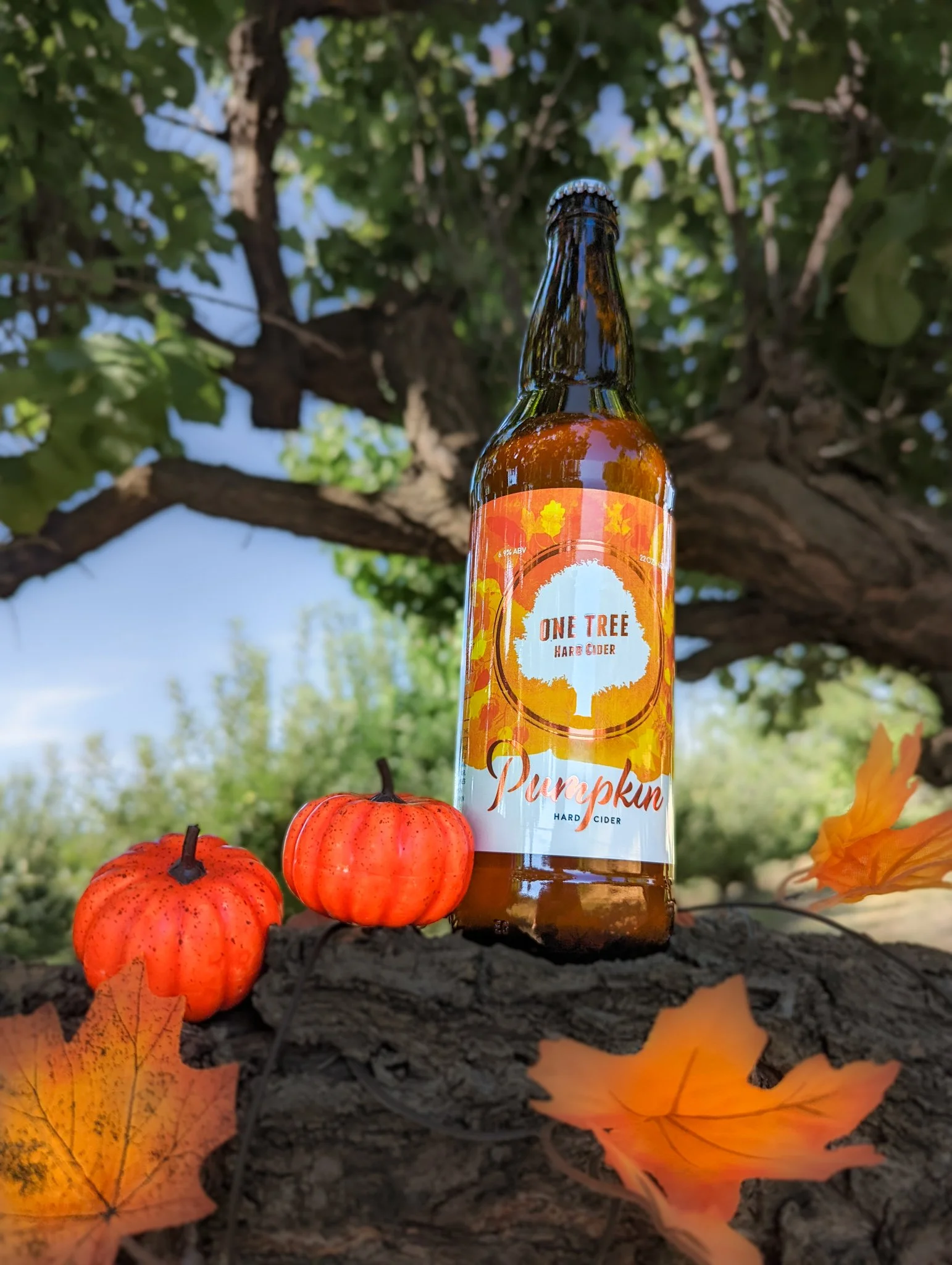ONE TREE HARD CIDER