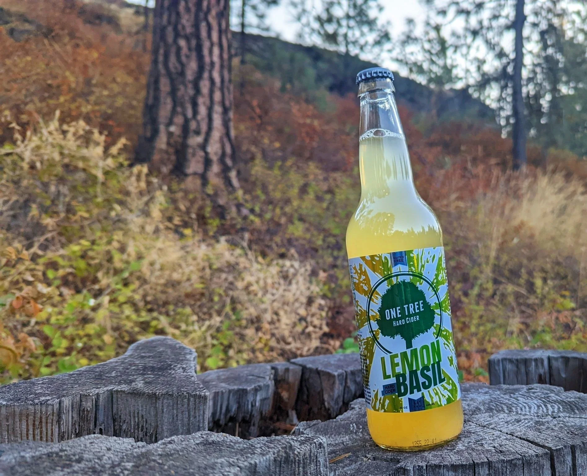 ONE TREE HARD CIDER
