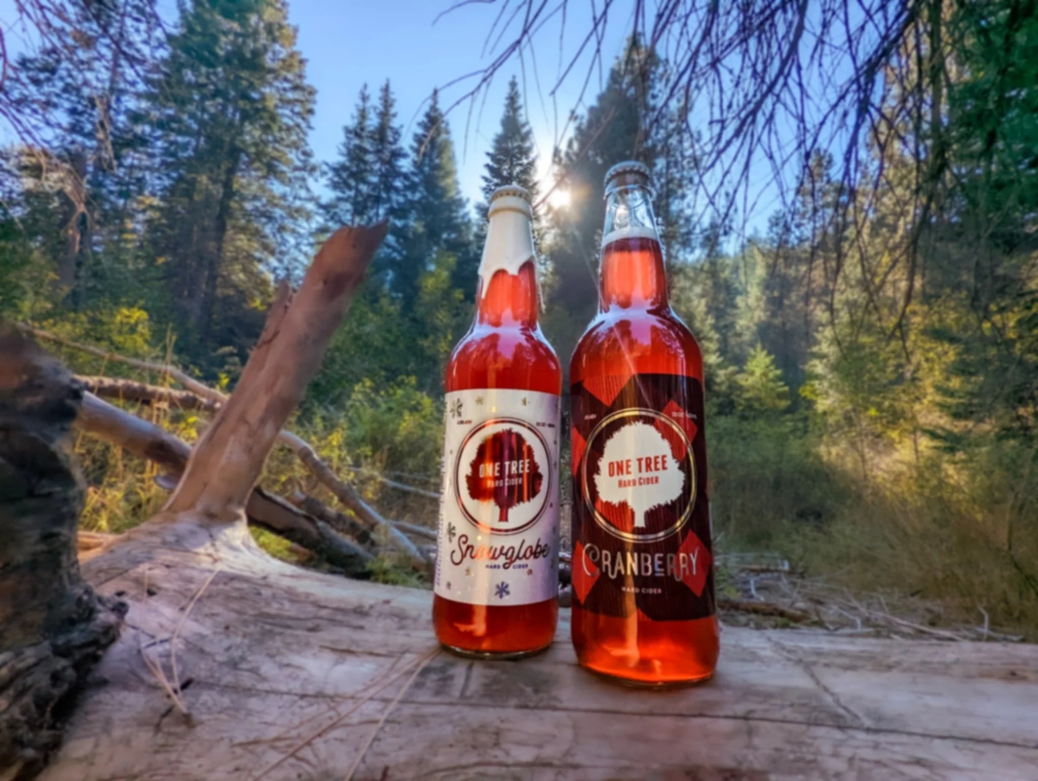 ONE TREE CIDER — ONE TREE HARD CIDER