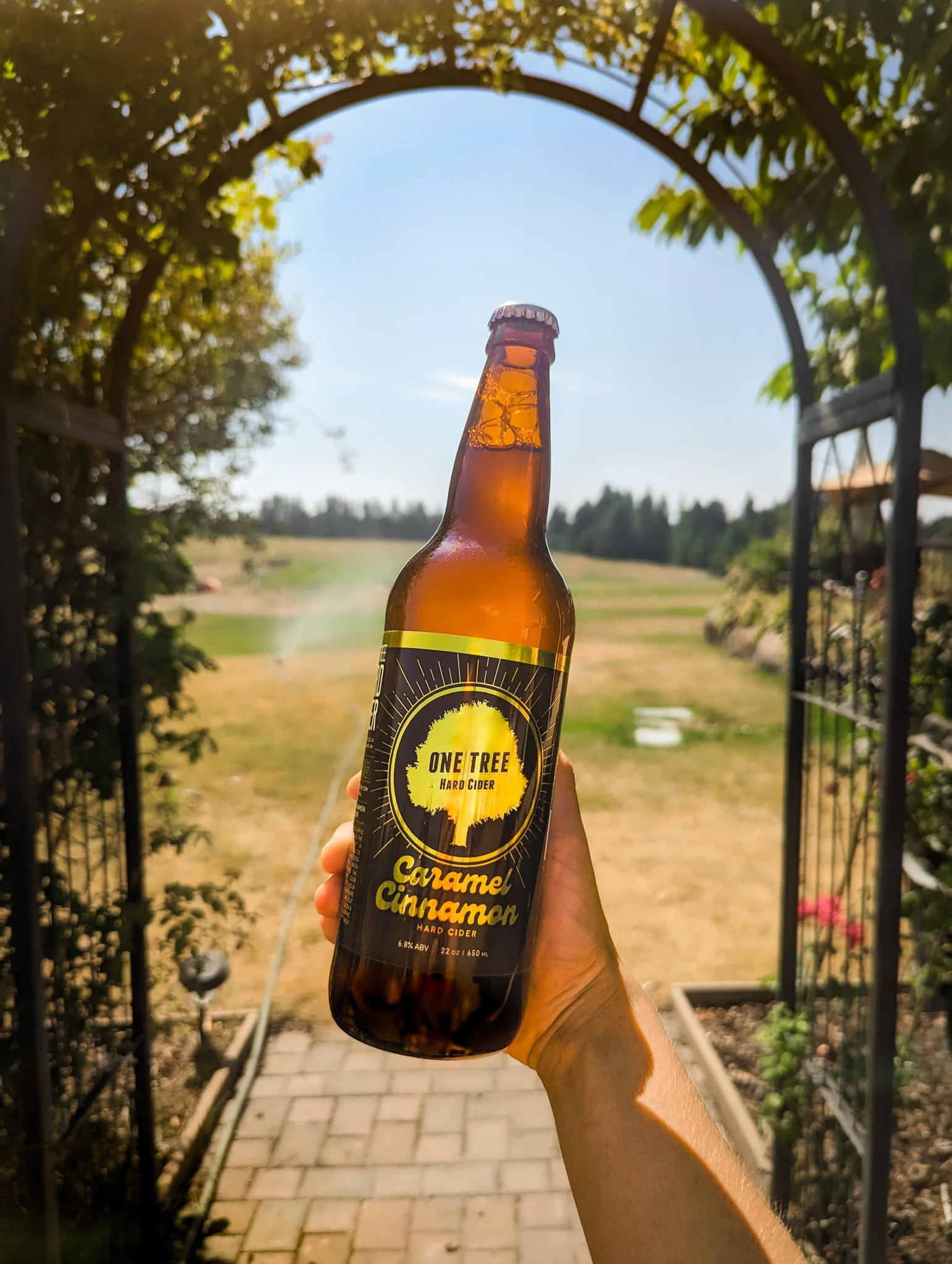 OUR CIDERS — ONE TREE HARD CIDER