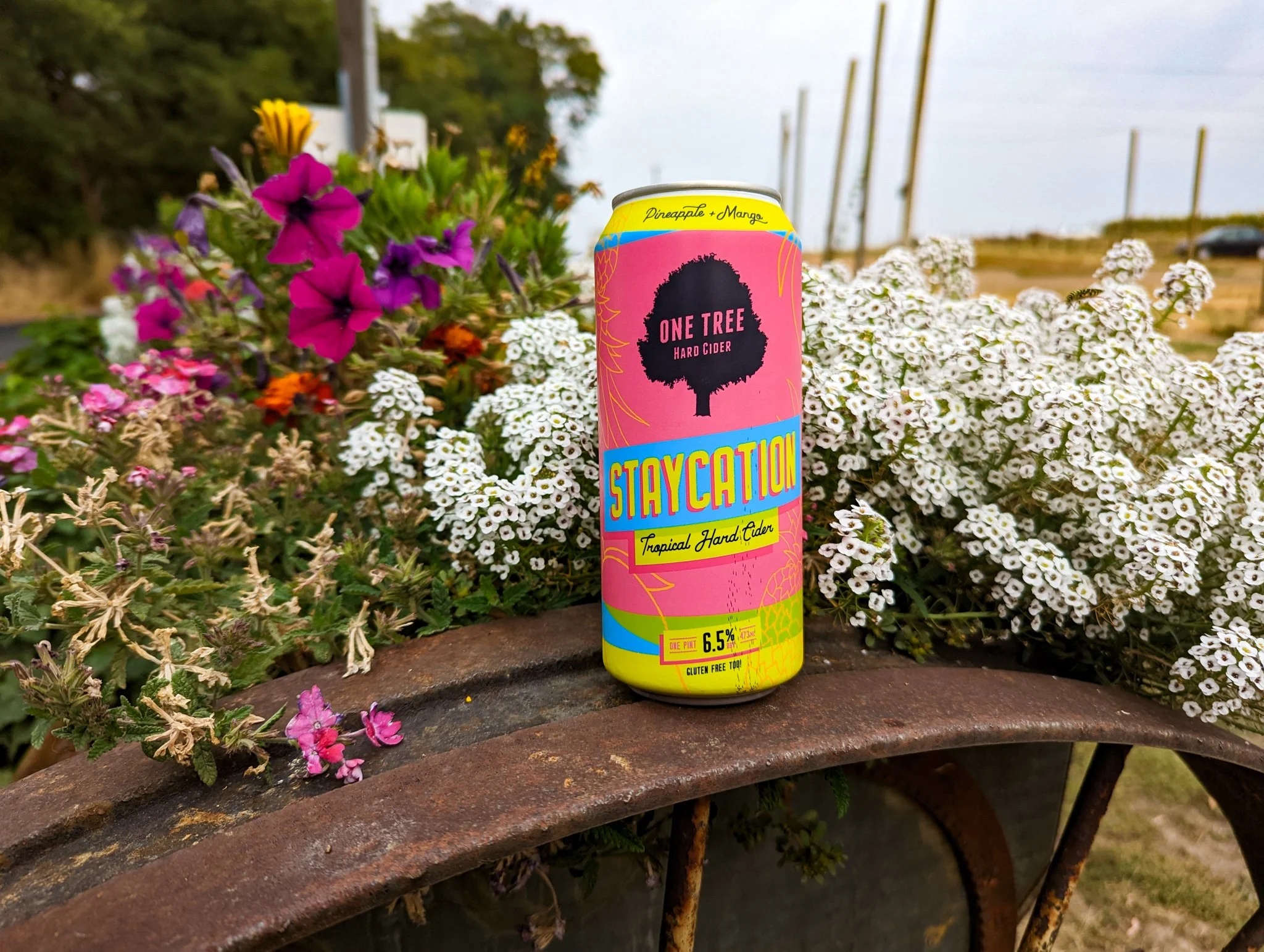 ONE TREE HARD CIDER