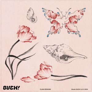 Flash — Studio OUCH!