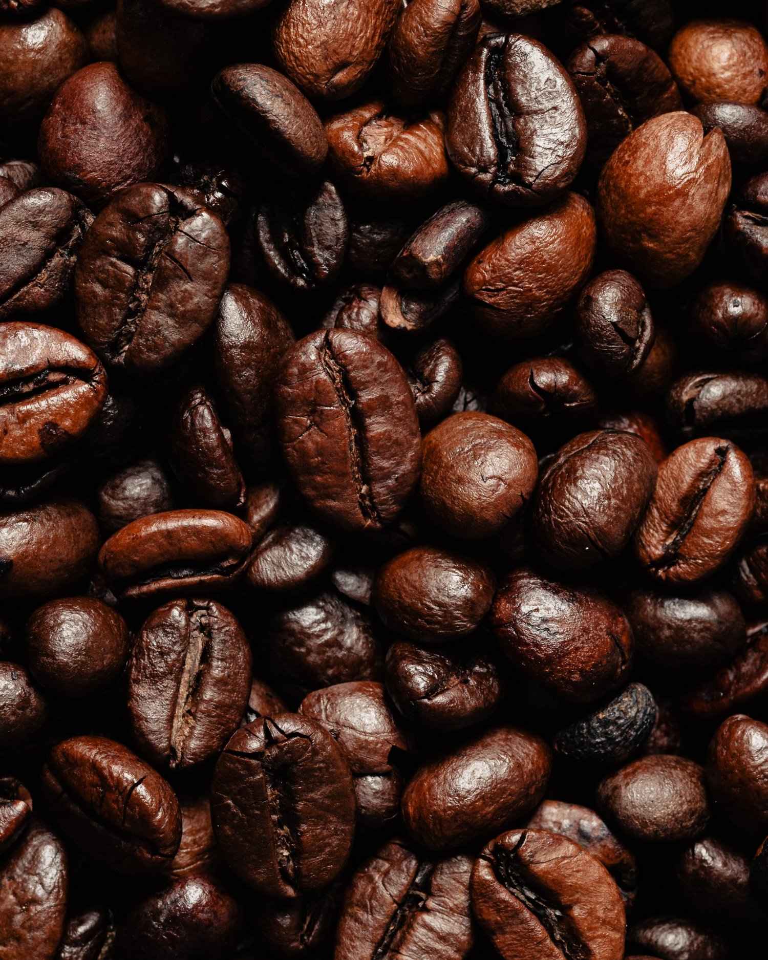 BROWN FOOD | Discover Delicious Depths — robertadallalba