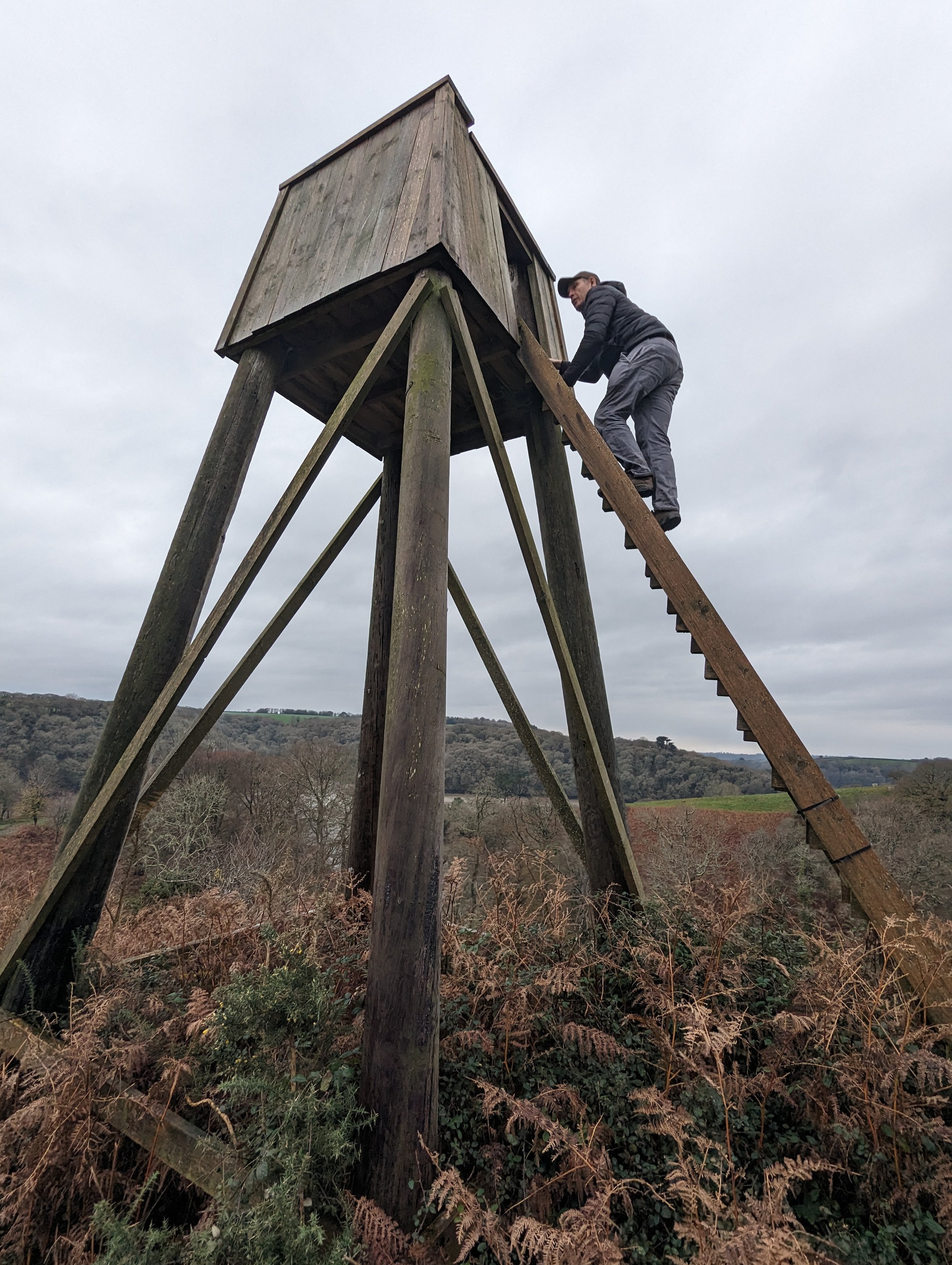 Osprey project — Kernow Conservation