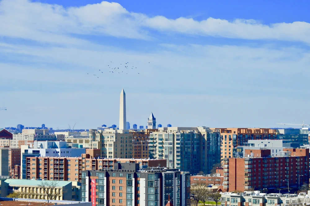Services — CityWorks DC