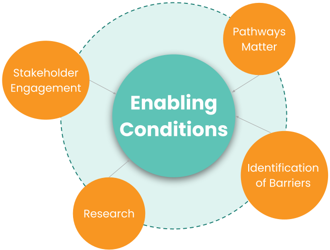Honing in on Key Enabling Conditions Necessary for a Strong, Diverse ...